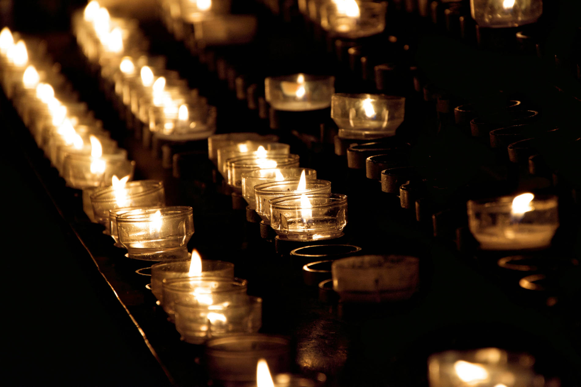 Obituary: Jesuit Father Kevin Casey - The Southern Cross