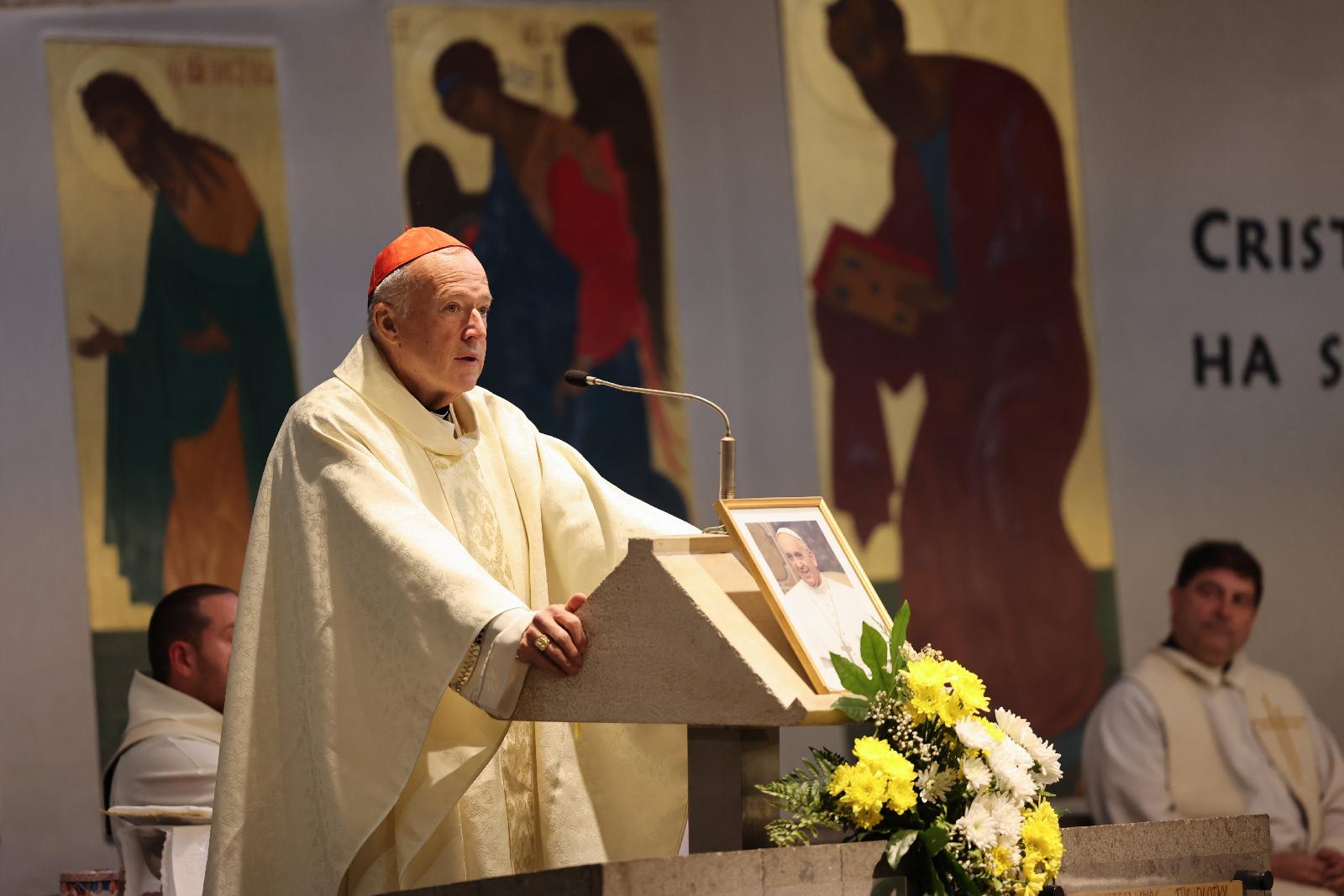 Cardinal McElroy: 'I have no guess' who will be pope - The Southern Cross
